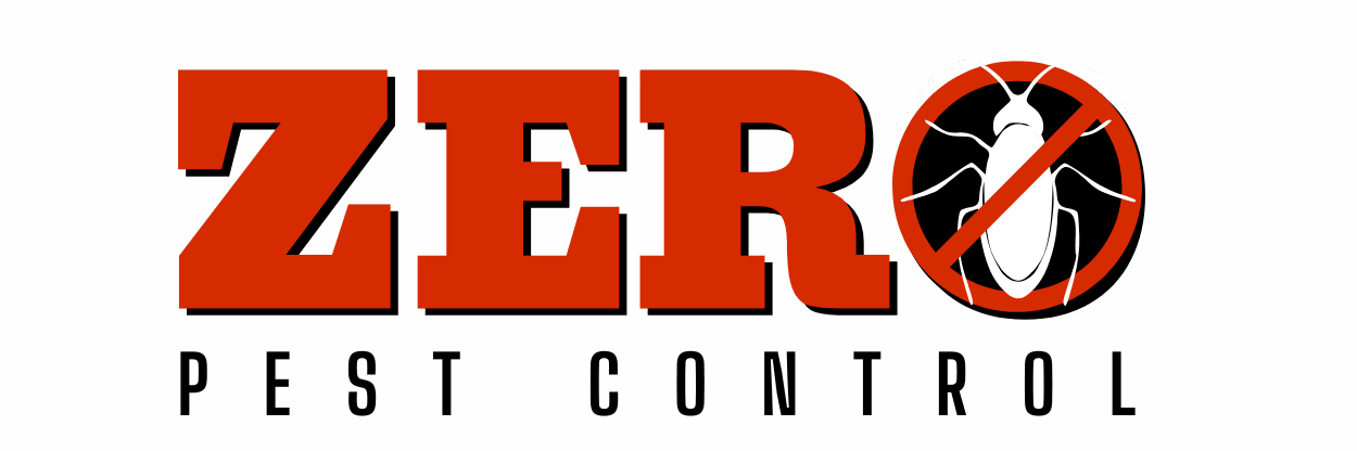 Best Pest Control Services in Dubai | Zero Pest Control UAE